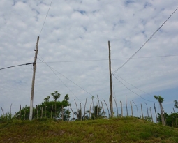 Pros and Cons of Underground Power Lines